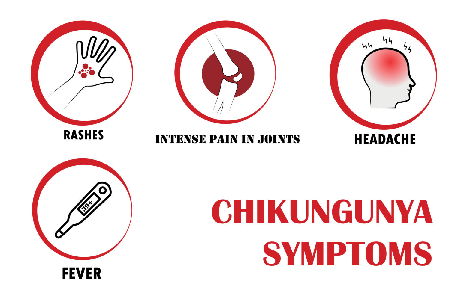 Chikungunya Treatment in Delhi | Plusify Healthcare